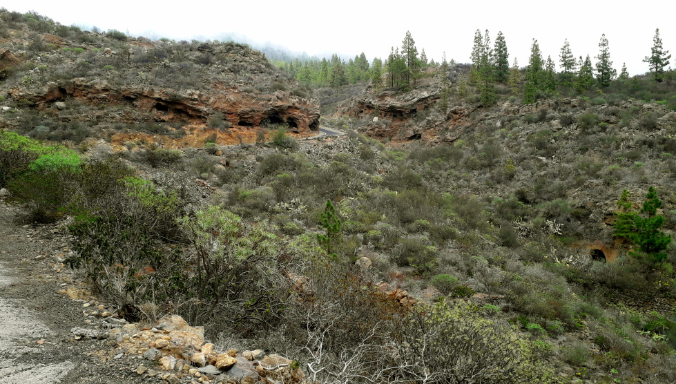 Der rote Berg (I) | Mein Teneriffa - Mi Tenerife
