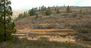 Der rote Berg (I) | Mein Teneriffa - Mi Tenerife