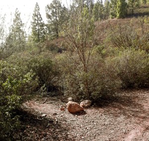 Der rote Berg (I) | Mein Teneriffa - Mi Tenerife