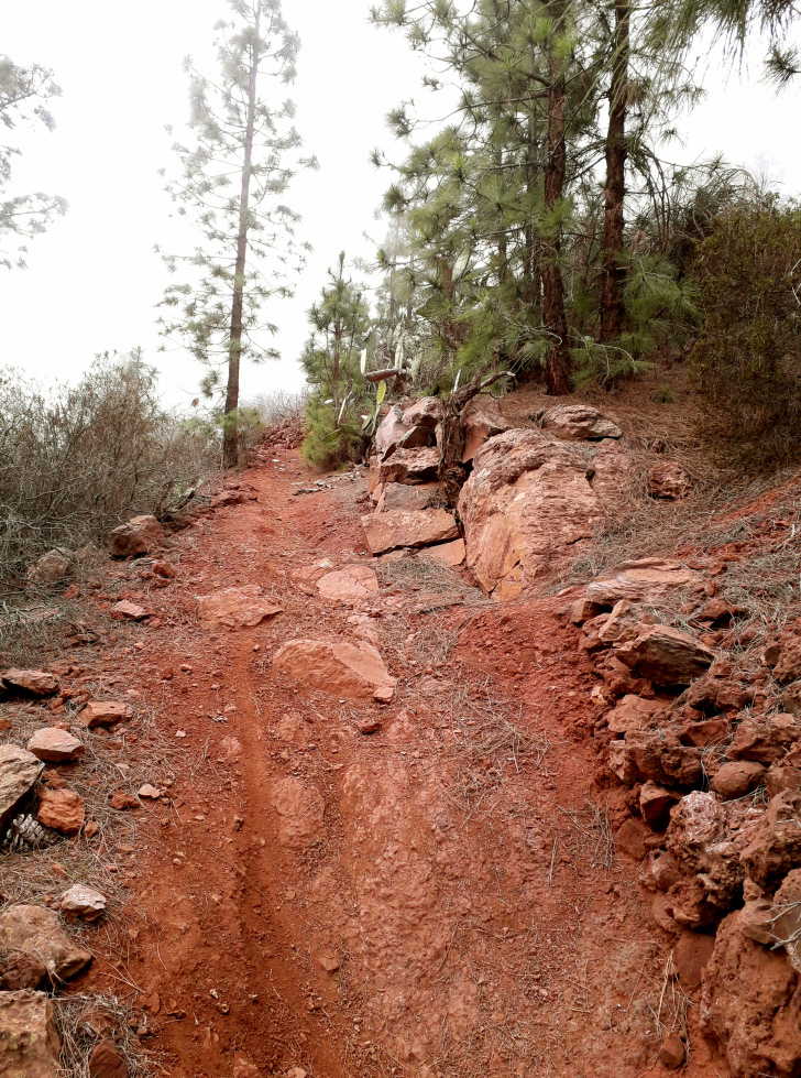 Der rote Berg (I) | Mein Teneriffa - Mi Tenerife