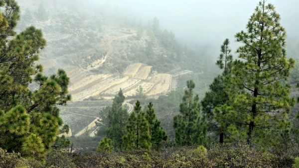 Der rote Berg (I) | Mein Teneriffa - Mi Tenerife