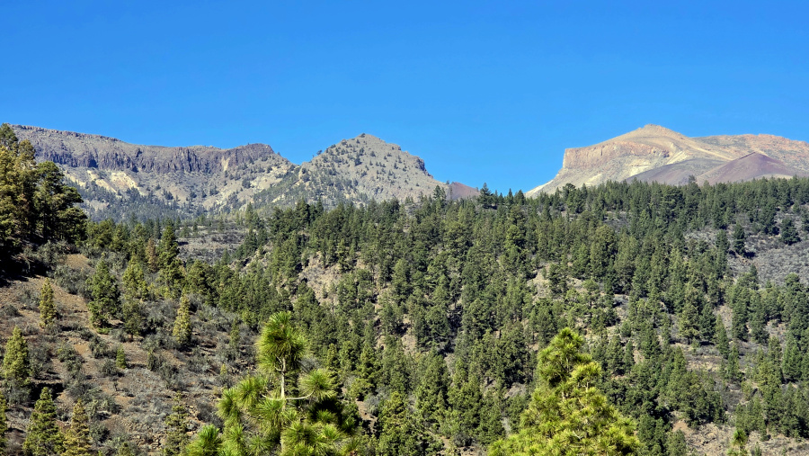 Der rote Berg (I) | Mein Teneriffa - Mi Tenerife