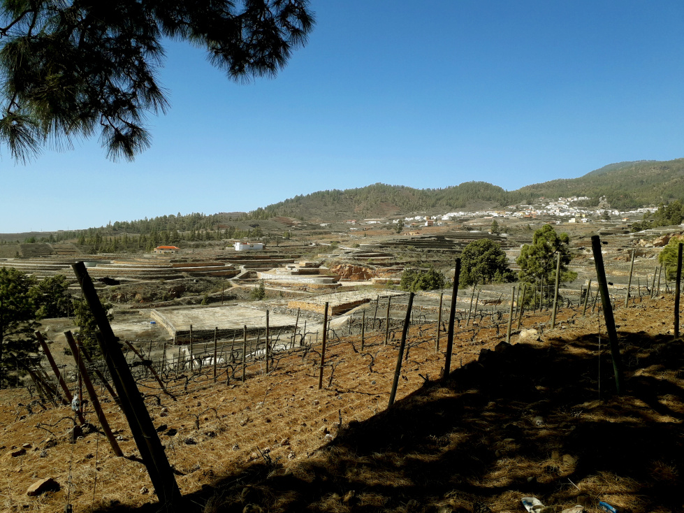 Der rote Berg (I) | Mein Teneriffa - Mi Tenerife