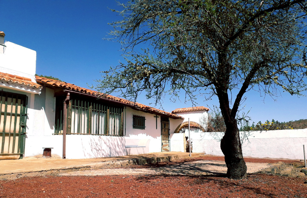 Der rote Berg (I) | Mein Teneriffa - Mi Tenerife