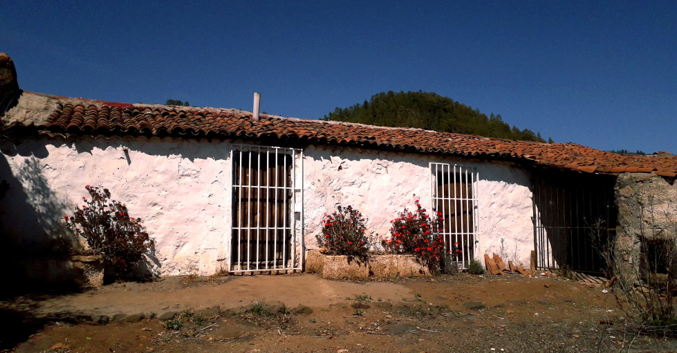 Der rote Berg (I) | Mein Teneriffa - Mi Tenerife